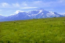 Stepe - Lapas [1] - World enciklopēdisks zināšanas